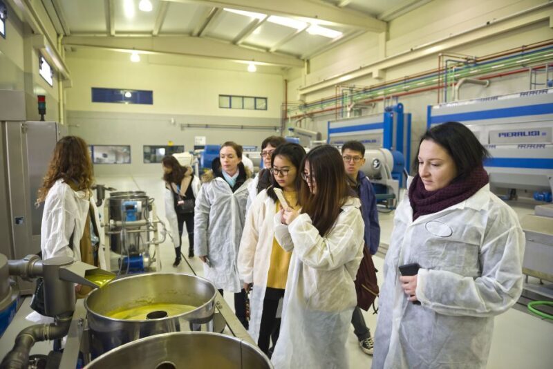 Jaén Discover the Secrets of Olive Oil: Tour & Tasting - Exploring the Tour Details