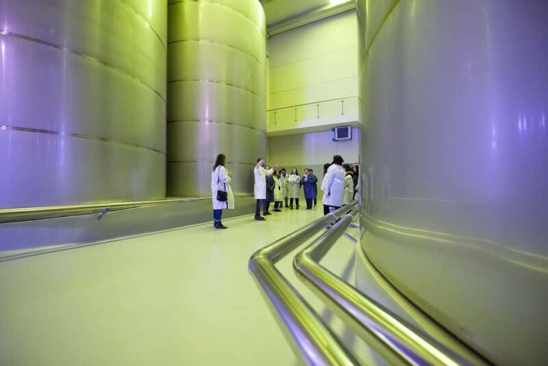 Jaén Discover the Secrets of Olive Oil: Tour & Tasting - Who Would Love This Experience?