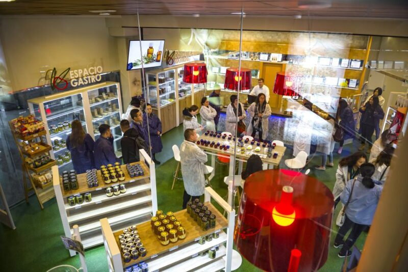 Jaén Discover the Secrets of Olive Oil: Tour & Tasting - The Sum Up