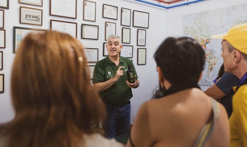 Jaén: Guided Olive Mill Tour with Olive Oil Tasting - Key Points