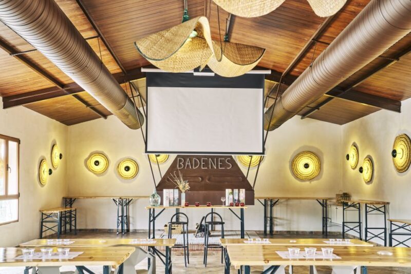 Jaen: Olive oil tour with the 5 senses, grove and tasing - Key Points