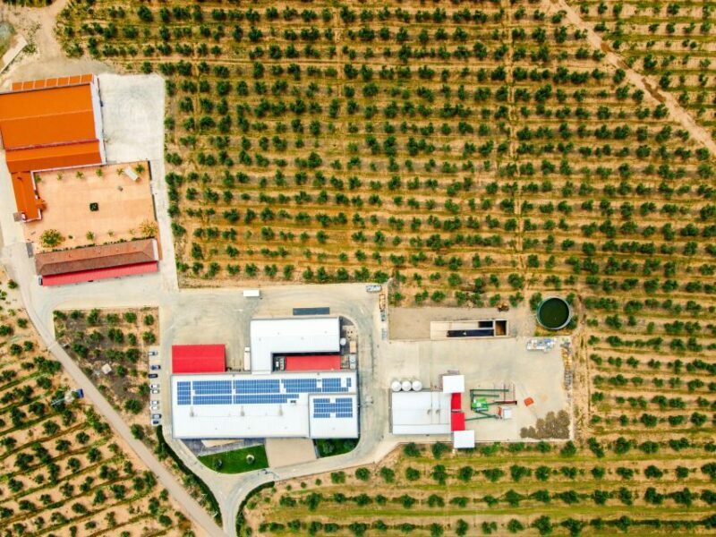 Jaen: Olive oil tour with the 5 senses, grove and tasing - FAQs