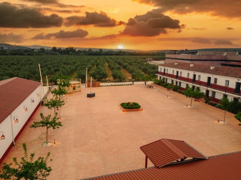 Jaen: Olive oil tour with the 5 senses, grove and tasing - Final Thoughts