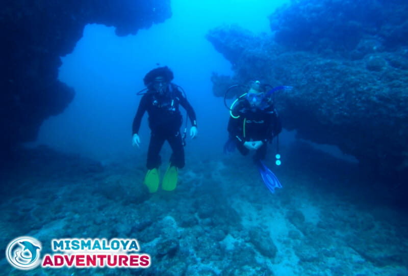 Jalisco: Scuba Diving at Los Arcos for Certified Divers - Final Thoughts