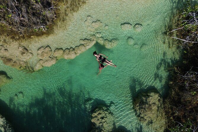 Janzu Aquatic Massage Therapy - Pricing and Value Analysis