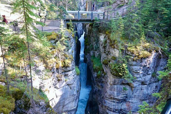 Jasper and Columbia Skywalk Icefield Parkway Private Day Tour - Authentic Insights From Travelers