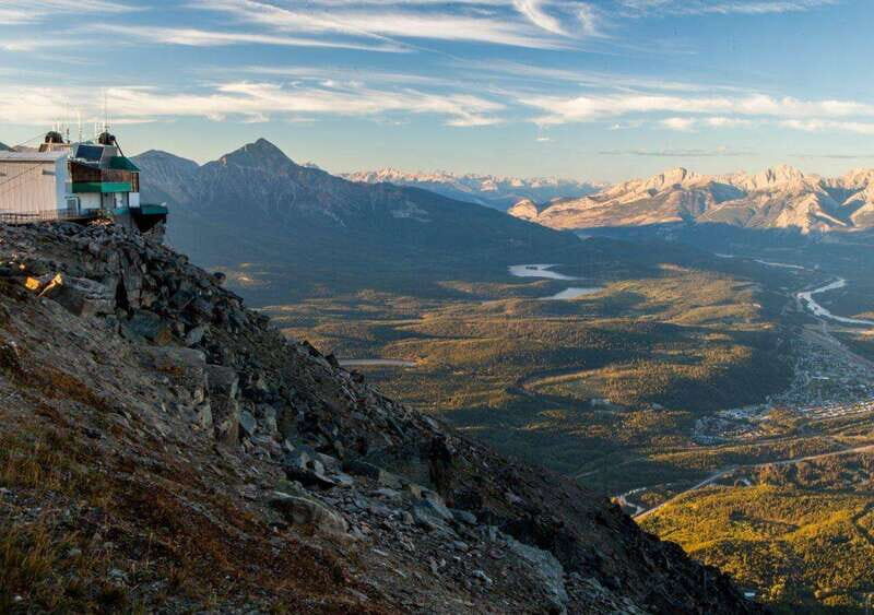 Jasper SkyTram Roundtrip Flight Ticket - Wildlife and Nature: What You Might Spot
