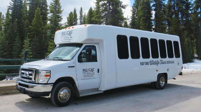 Jasper: Wildlife and Waterfalls Tour with Lakeshore Hike - Key Points