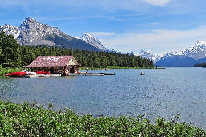 Jasper Wildlife and Waterfalls Tour with Maligne Lake Hike - Who Will Love This Tour?