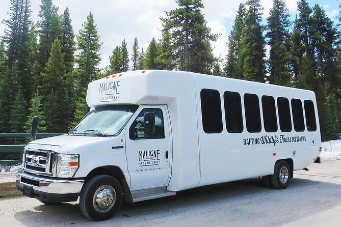 Jasper Wildlife and Waterfalls Tour with Maligne Lake Hike - FAQ