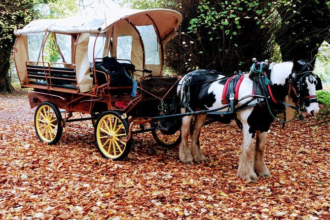 Jaunting Car Tour in Killarney National Park - Why This Tour Is Worth It