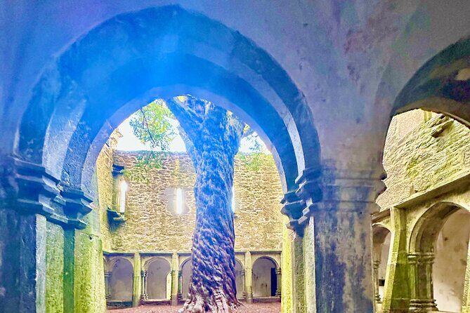 Jaunting Car Tour in Killarney National Park - Who Should Book This Tour?