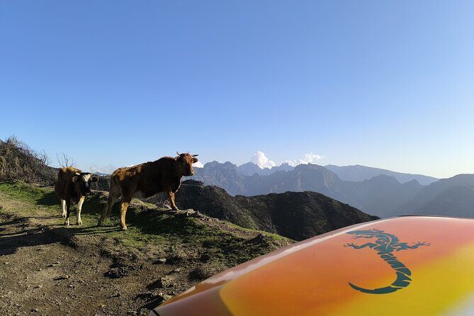 Jeep Adventure to Volcanic Pools & UNESCO Forest Treasures - The Sum Up