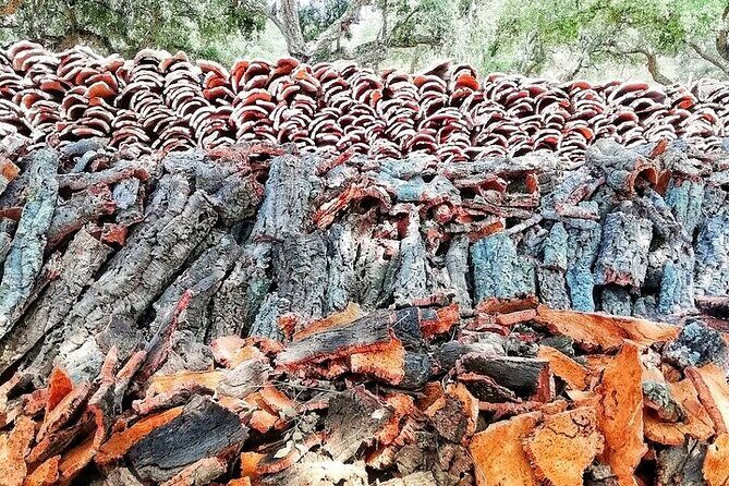 Jeep Cork Tour Experience Pack - Authentic Experiences and Traveler Insights