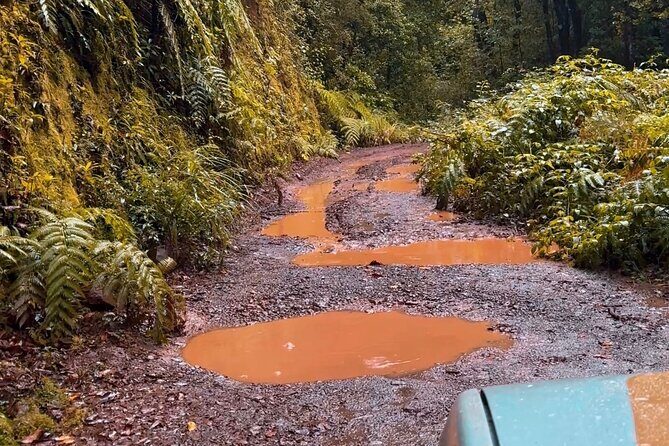 Jeep Safari 4x4 Madeira Pico areeiro, Santana, Ponta Sao Lourenço - FAQ Section