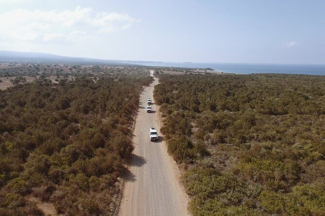 Jeep Safari Akamas from Paphos - An In-Depth Look at the Jeep Safari Akamas Experience