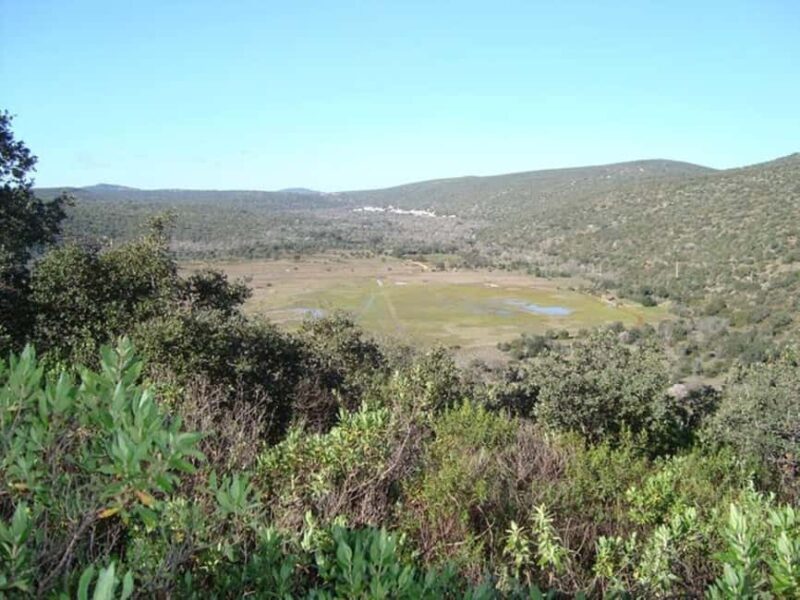 Jeep Safari & Benagil Boat Tour - The Sum Up