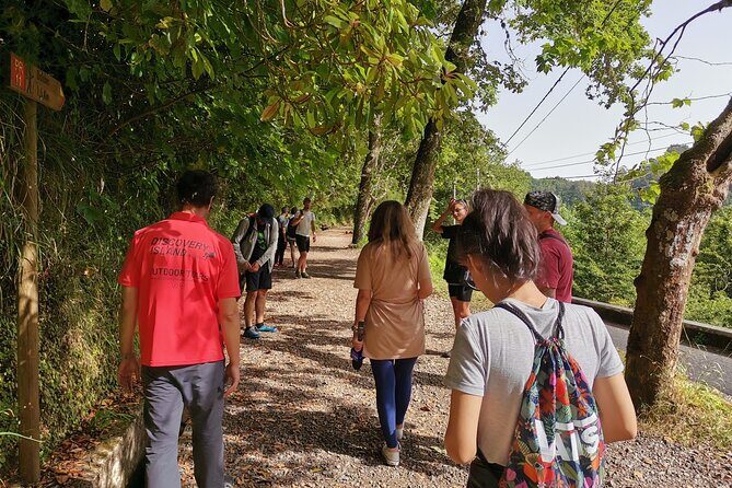 Jeep Safari in Pico Areeiro Santana Faial Full Day Tour - Key Points