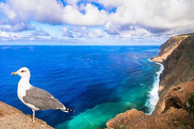 Jeep Safari in Southwest, Calheta and Ponta do Sol Full Day Tour - Who Would Love This Tour?