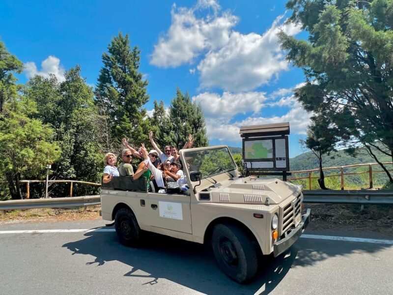 Jeep safari in the Aspromonte National Park - Analyzing the Price and Value