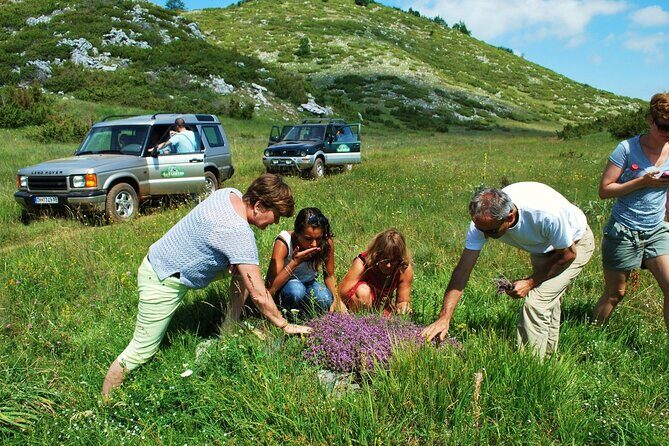 Jeep Safari National Park Galicica - FAQs