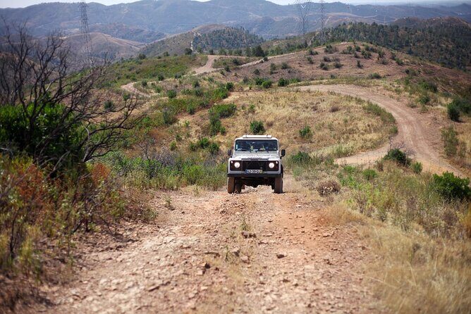Jeep Safari to Akamas National Park: Avakas Gorge Tour from Paphos - Final Words