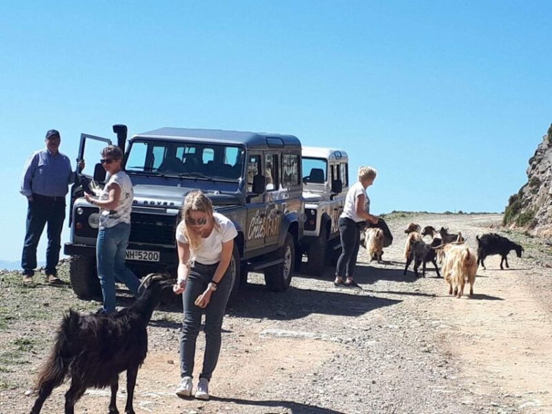 Jeep Safari tour Discover The Secrets Of The Southern Crete - The Experience: What Makes it Stand Out?