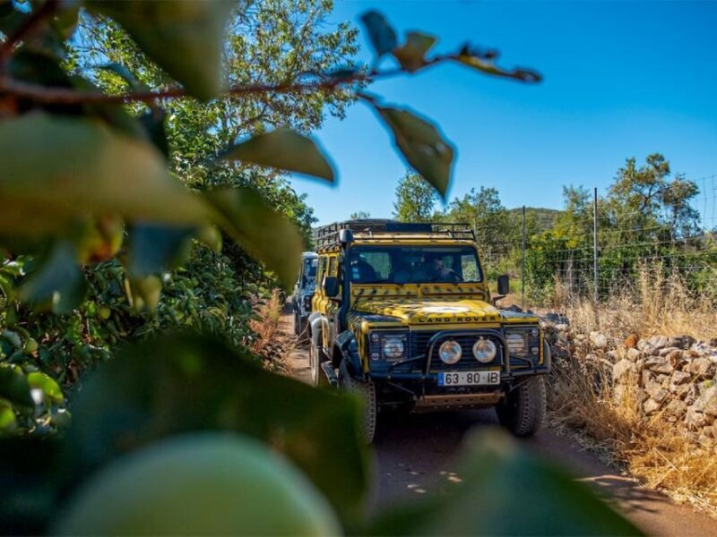 Jeep Safari Tour - Full Day - FAQ