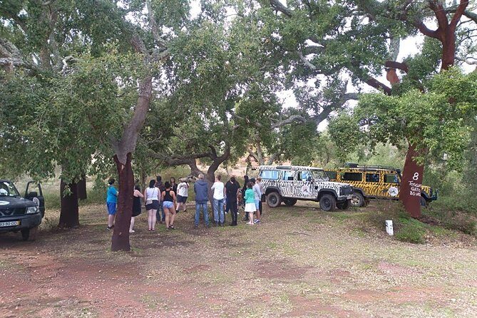 Jeep Safari Tour - Half Day - Practical Tips for Making the Most of Your Tour