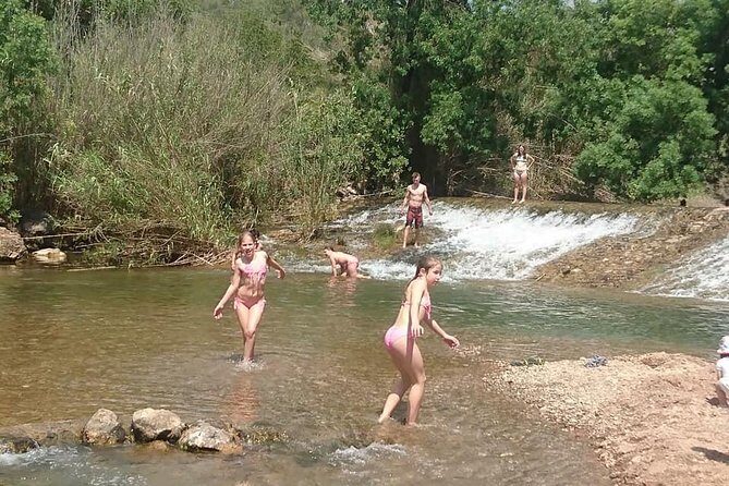 Jeep Safari Tour - Half Day - Final Thoughts: Who Will Love This Tour?