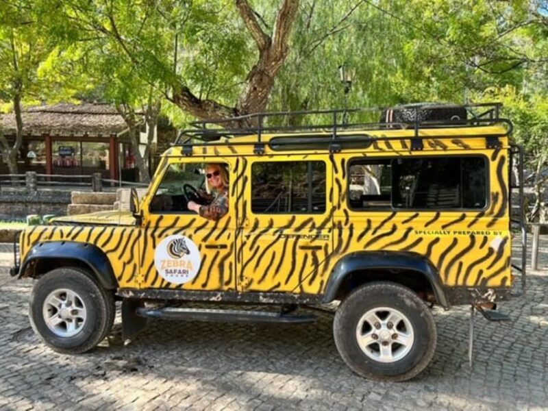 Jeep Safari Tours- Half Day - Final Thoughts: Is It Worth It?