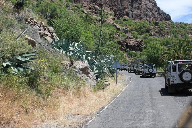 Jeep Tour 4x4 in Gran Canaria - Is This Tour Worth It?