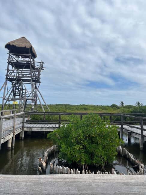 Jeep Tour to Punta Sur Eco Beach Park with Lunch - Exploring the Highlights in Detail