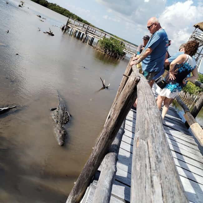 Jeep Tour to Punta Sur Eco Beach Park with Lunch - Who Should Consider This Tour?