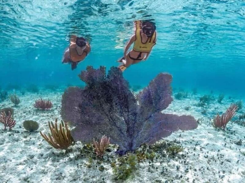 Jeep Tour to Punta Sur Eco Beach Park with Lunch - The Sum Up