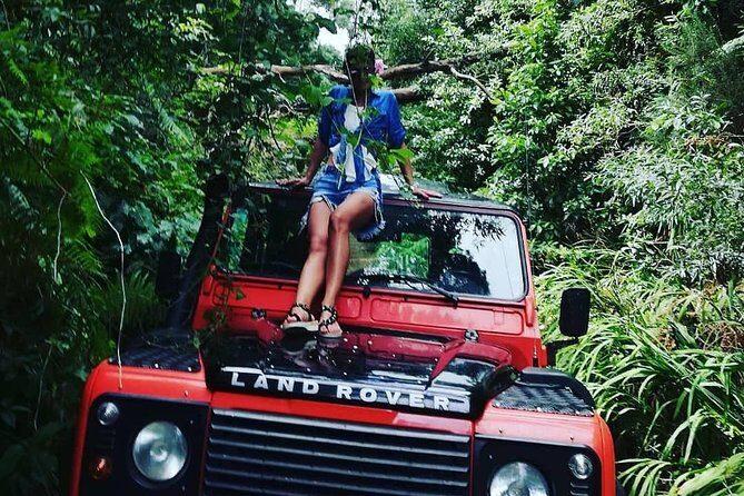 Jeep Tour To Santana: Old Forest Full-Day East-Side - A Closer Look at the Jeep Tour Experience