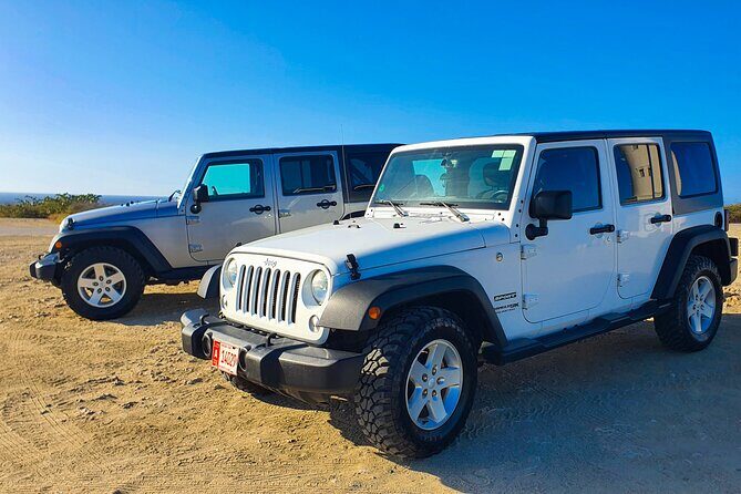 Jeep Wrangler Jk Hardtop 4 door - Booking, Cancellation, and Practical Considerations