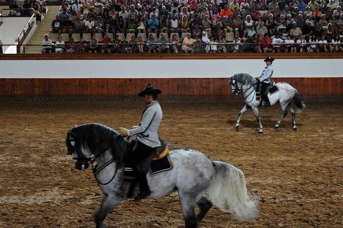 Jerez and Cadiz with Horse Ballet and Sherry Tasting from Seville - An In-Depth Review of the Tour Experience