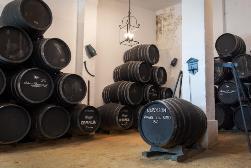 Jerez: Bodegas Álvaro Domecq Guided Tour with Wine Tasting - The Experience: A Walk Through Jerez’s Wine Heritage