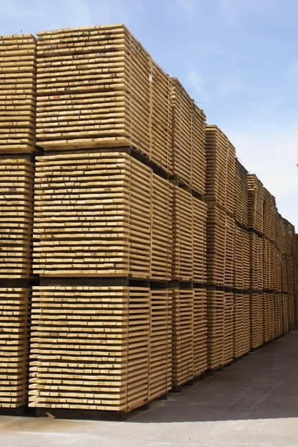 JEREZ DE LA FRONTERA: PREMIUM GUIDED TOUR TO THE COOPERAGE - Who Will Love This Tour?