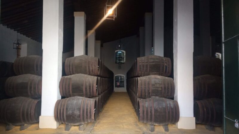 Jerez de la Frontera: Sherry Winery Tour with Tasting - What Sets This Tour Apart?