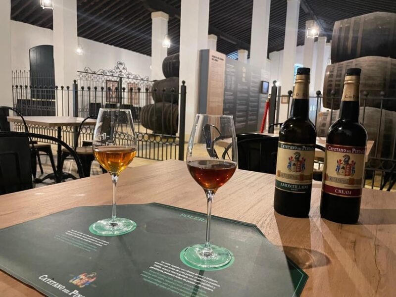 Jerez: Guided Winery Tour with Wine Tasting - What to Expect from the Jerez Winery Tour