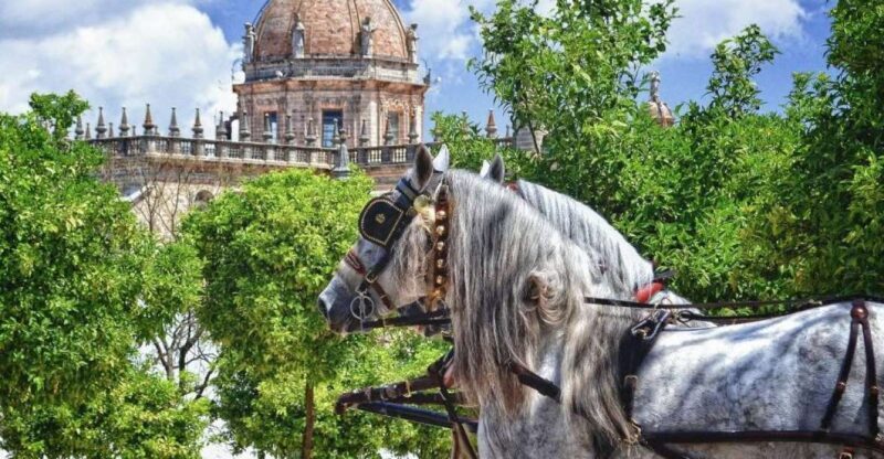 Jerez: Historic Center Guided Tour - Key Points