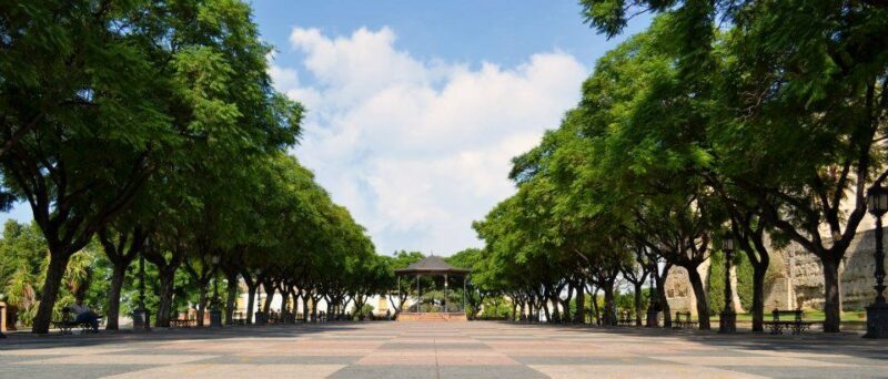 Jerez: Historic Center Guided Tour - Who Should Book This Tour?