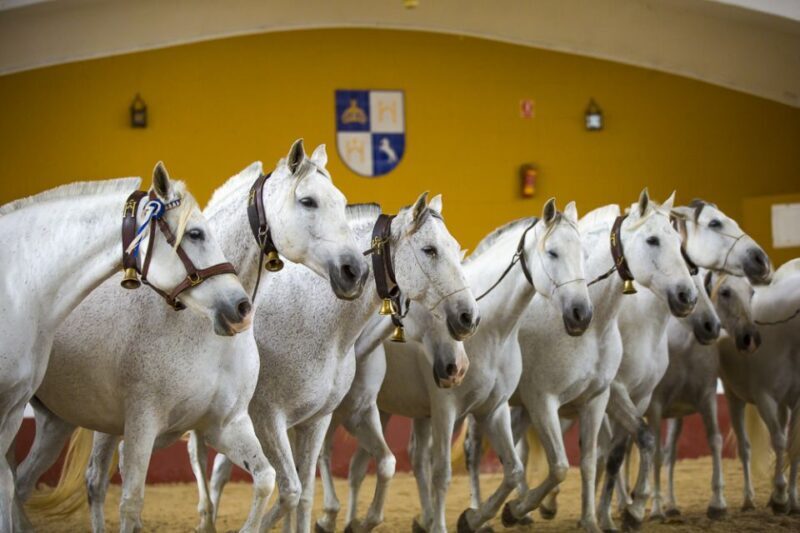 Jerez: Yeguada de la Cartuja Carthusian Horses Tour - The Value for Money