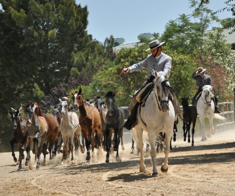 Jerez: Yeguada de la Cartuja Carthusian Horses Tour - Final Thoughts: Who Will Love This Tour?
