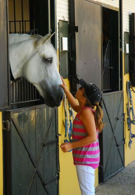 Jerez: Yeguada de la Cartuja Carthusian Horses Tour - FAQs