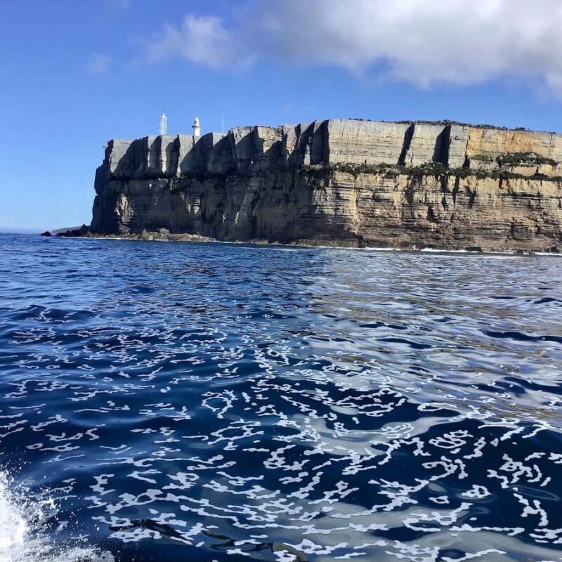 Jervis Bay: 2-Hour Cruise of Jervis Bay Passage - Final Thoughts