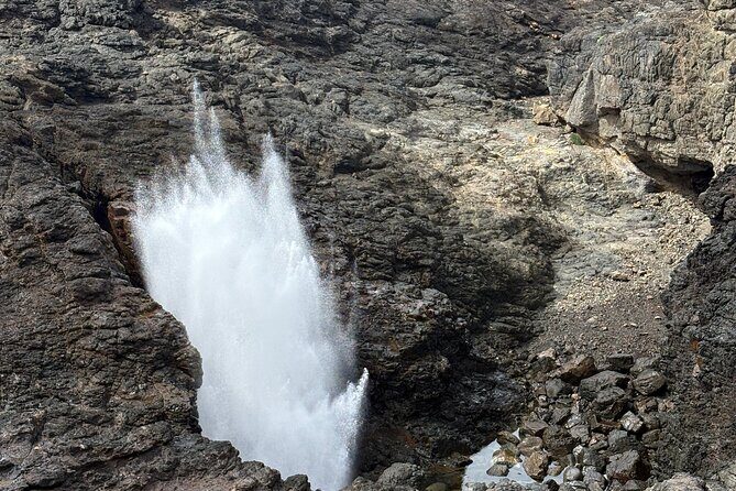 Jervis Bay and Shoalhaven South Coast NSW Private Tours - Final Thoughts