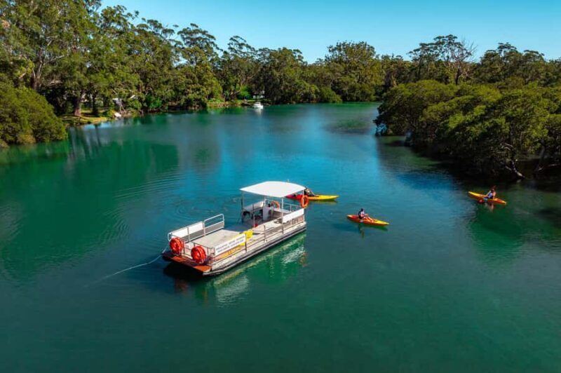 Jervis Bay: Currambene Creek Kayak Tour with Guide - The Experience and Itinerary